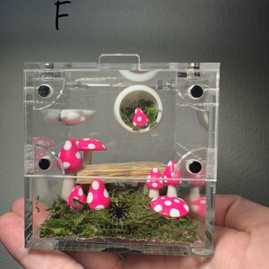 3x3x3 Decorated Enclosures - Etsy