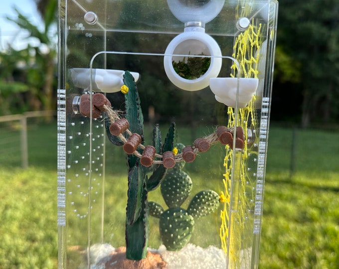Desert Theme Enclosure - Etsy