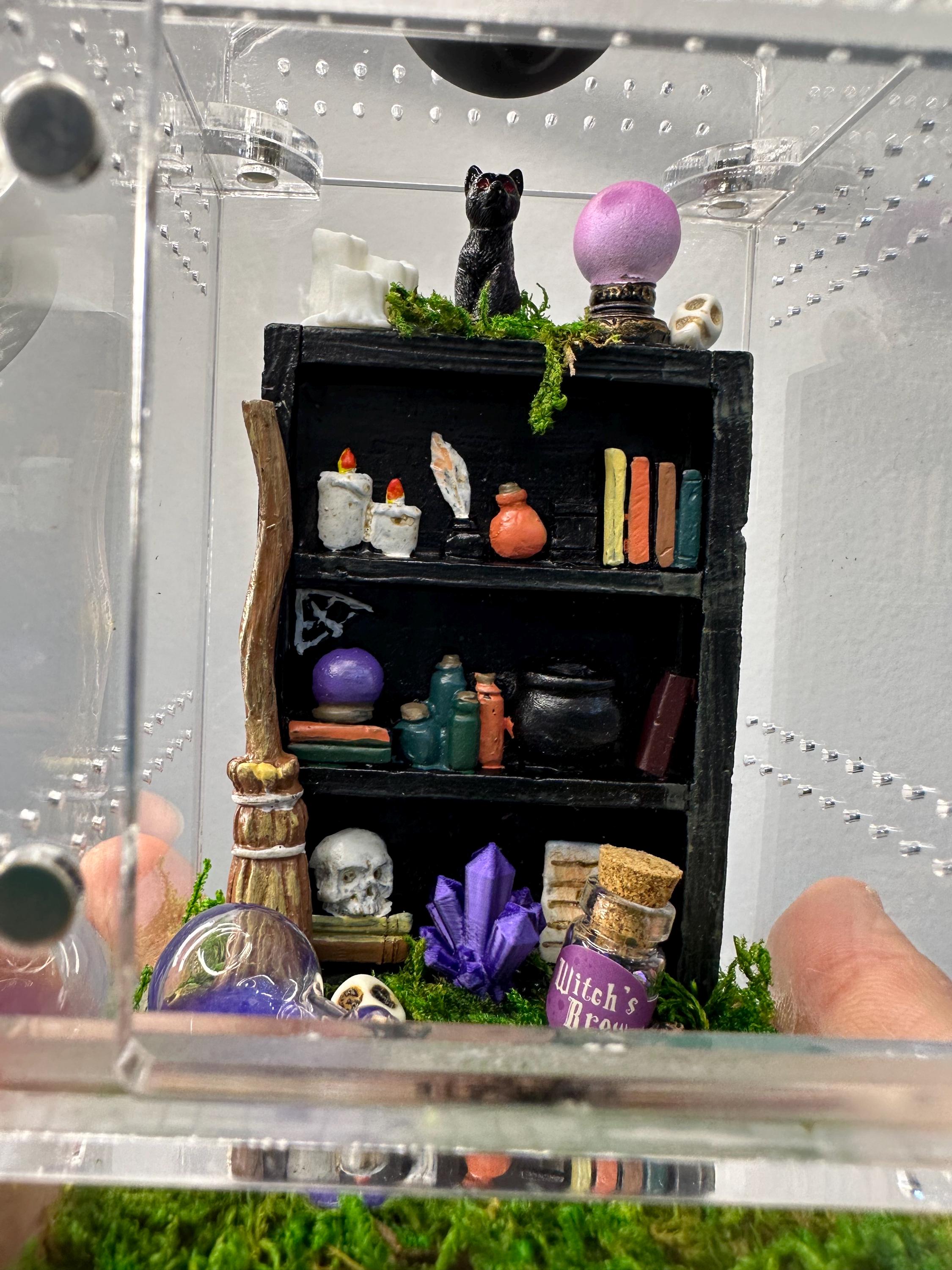 Witch Themed Enclosures - Etsy