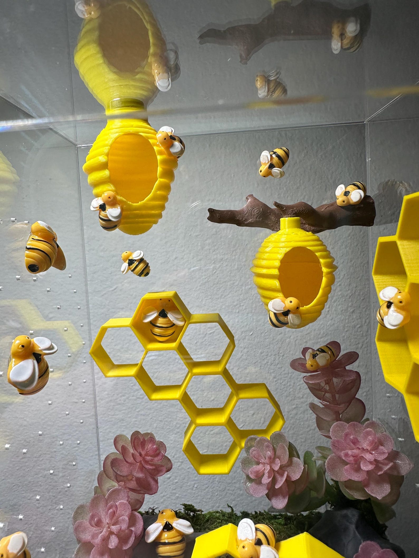 5x5x7 Bee Themed Enclosure - Etsy