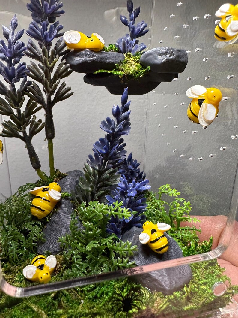 Nature With Bees Enclosure - Etsy
