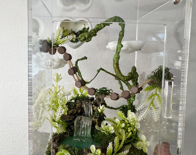 Waterfall Nature Enclosure - Etsy