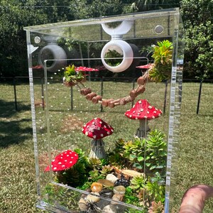 Mushroom Enclosure - Etsy