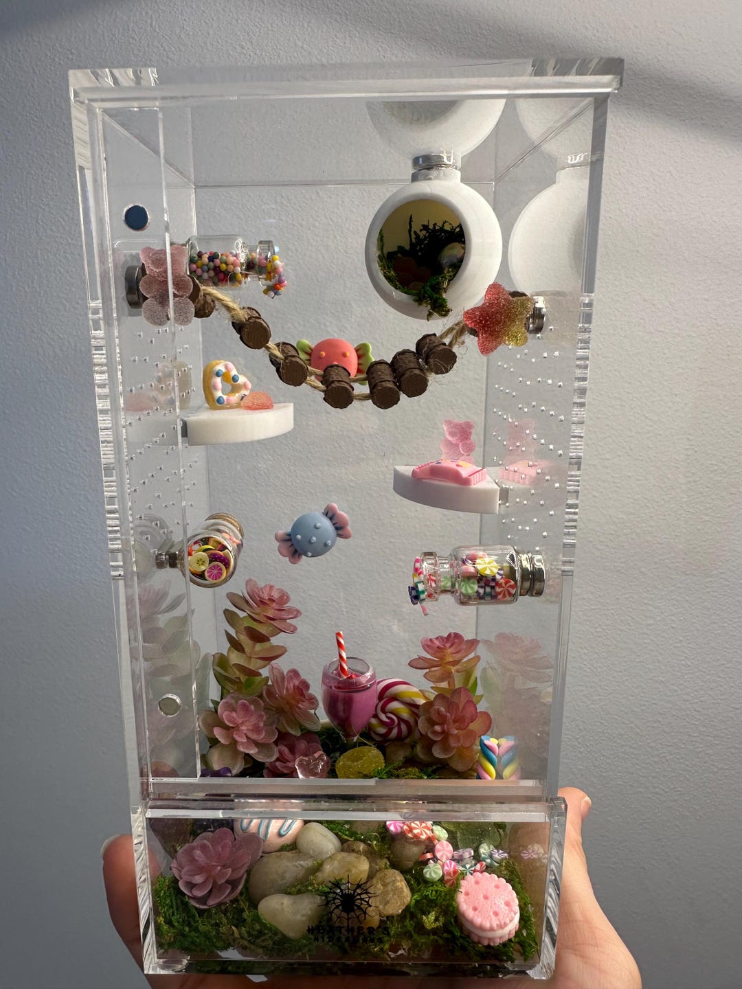 Candy Land Enclosure - Etsy