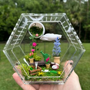 JC Decorated Hexagon Enclosures - Etsy