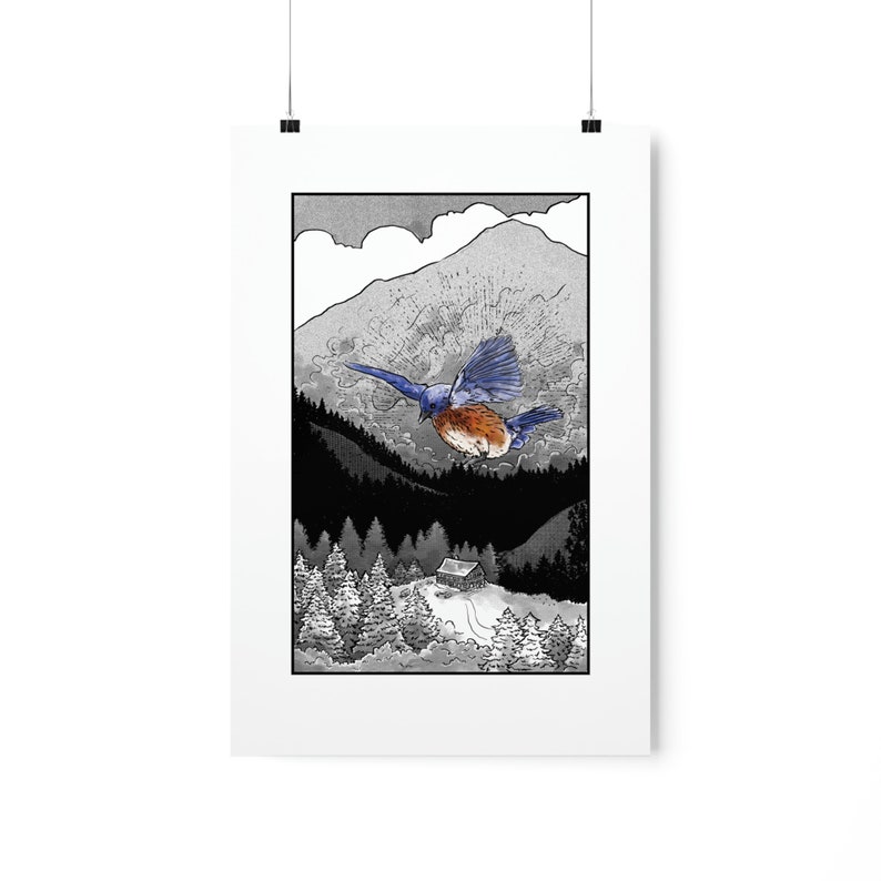 The Great Sialia Sialis (eastern Bluebird) Poster - Etsy