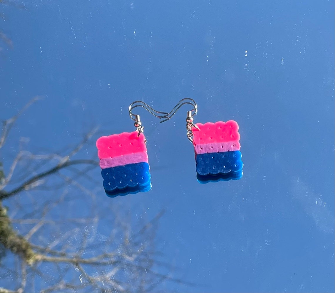 Handmade Pride Flag Earrings/lesbian/gay/trans/bi/non Binary/asexual ...