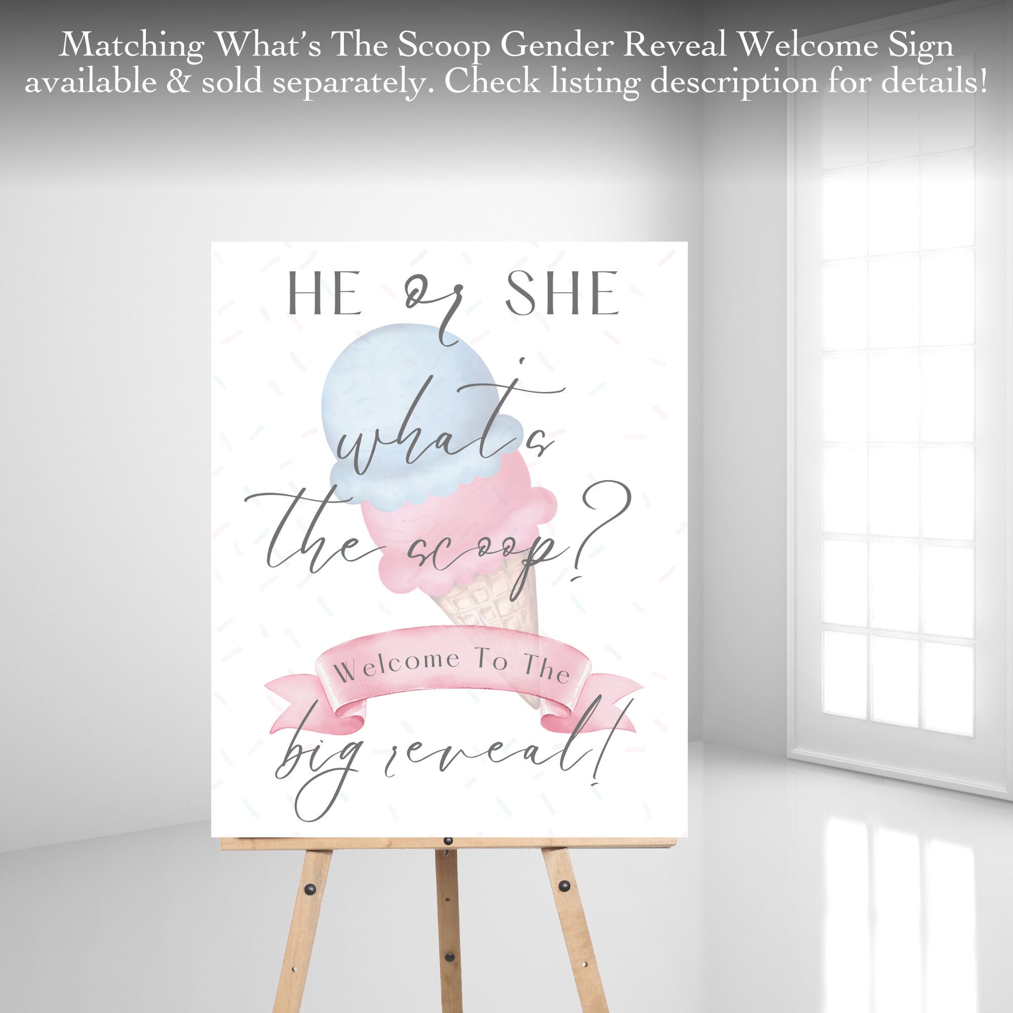 Ice Cream Gender Reveal Guessing Sign: Printable Party Decor (PDF) - Etsy