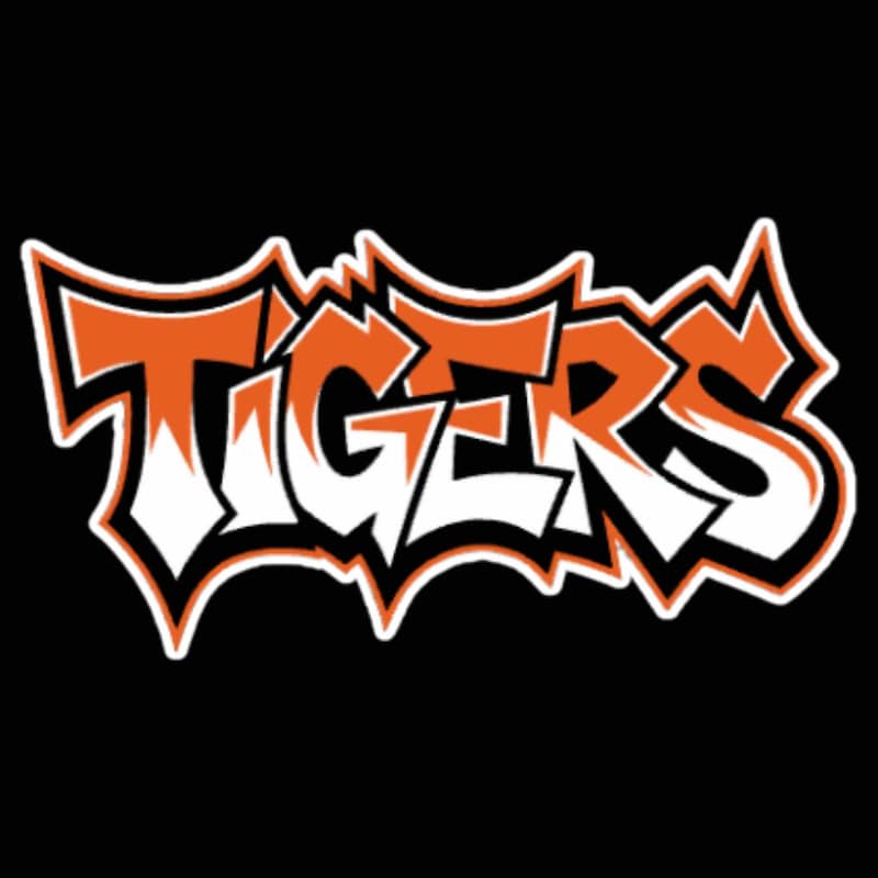 Graffiti Tiger - Etsy