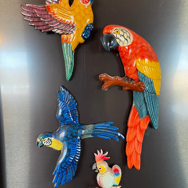 Hand Painted Parrot - Etsy