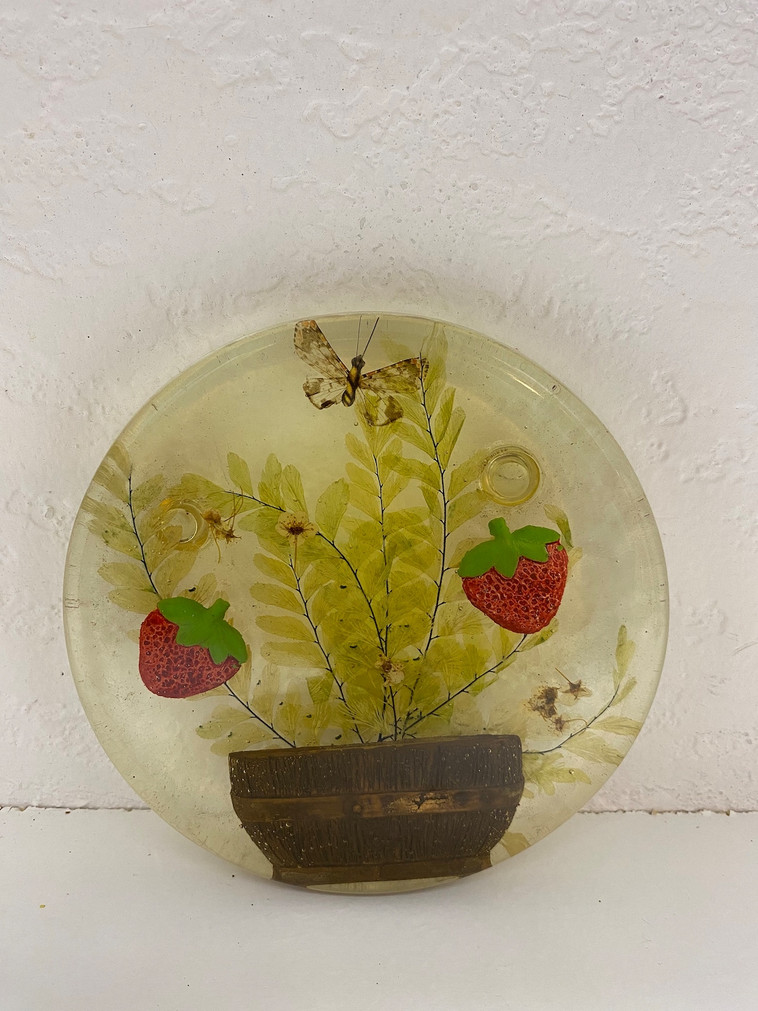 Mid Century Lucite Trivet With a Basket of Greenery and Strawberries - Etsy