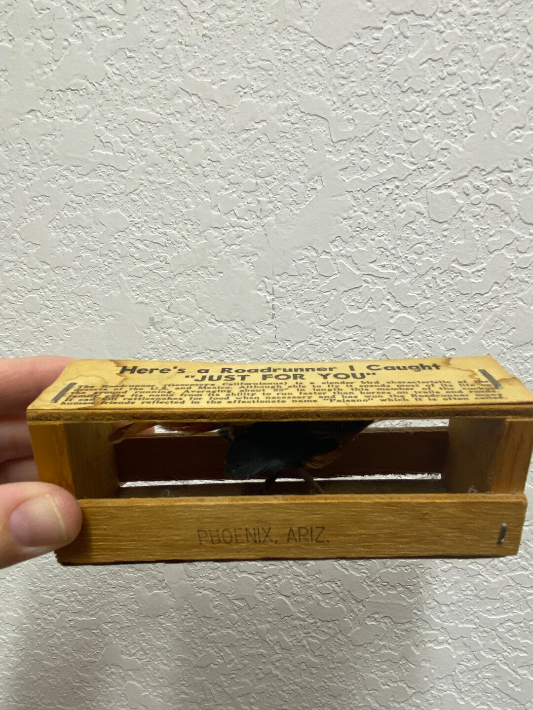 Arizona Road Runner in Wooden Crate “here’s a Roadrunner I Caught JUST ...