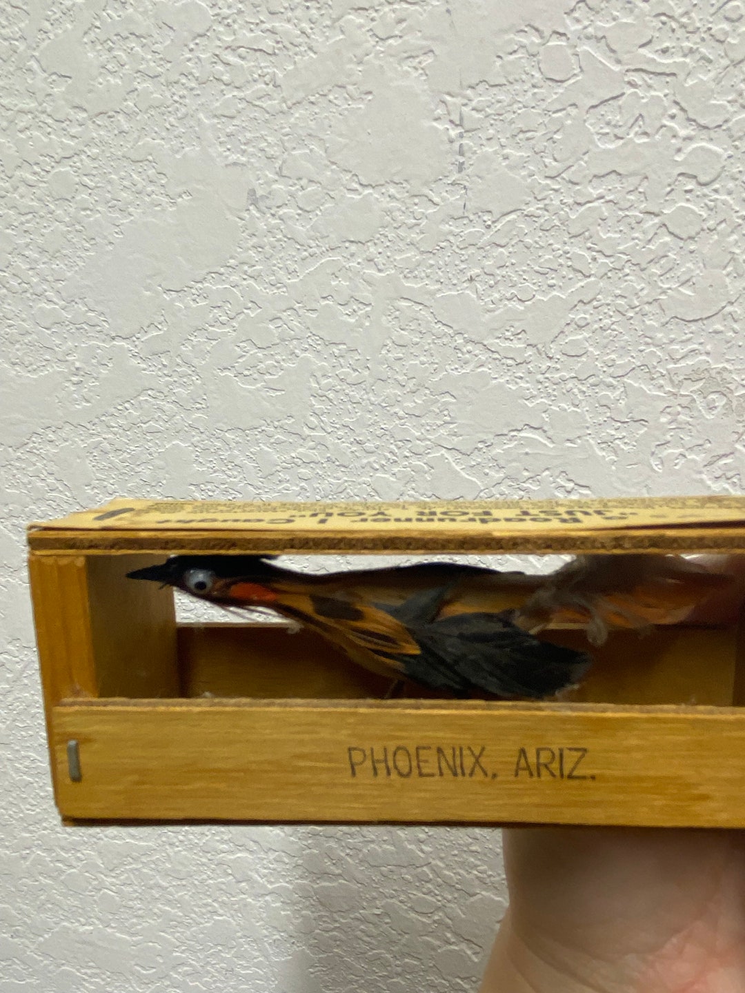 Arizona Road Runner in Wooden Crate “here’s a Roadrunner I Caught JUST ...