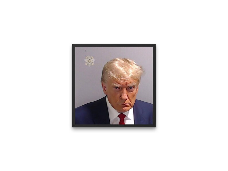 Original Donald J. Trump Mug Shot Poster - Etsy