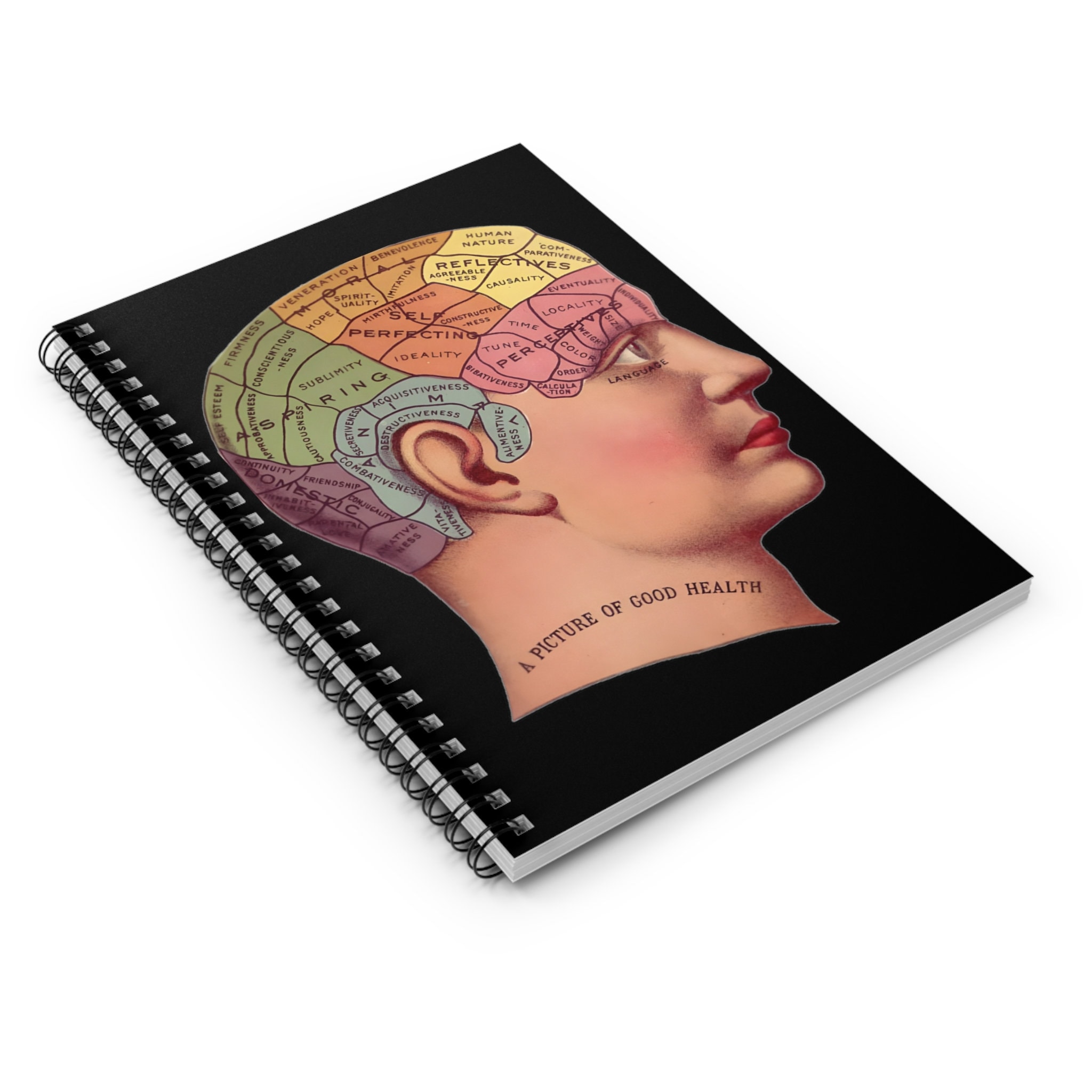 Vintage Aesthetic Mind Brain Anatomy Psychology Picture of Good Health ...