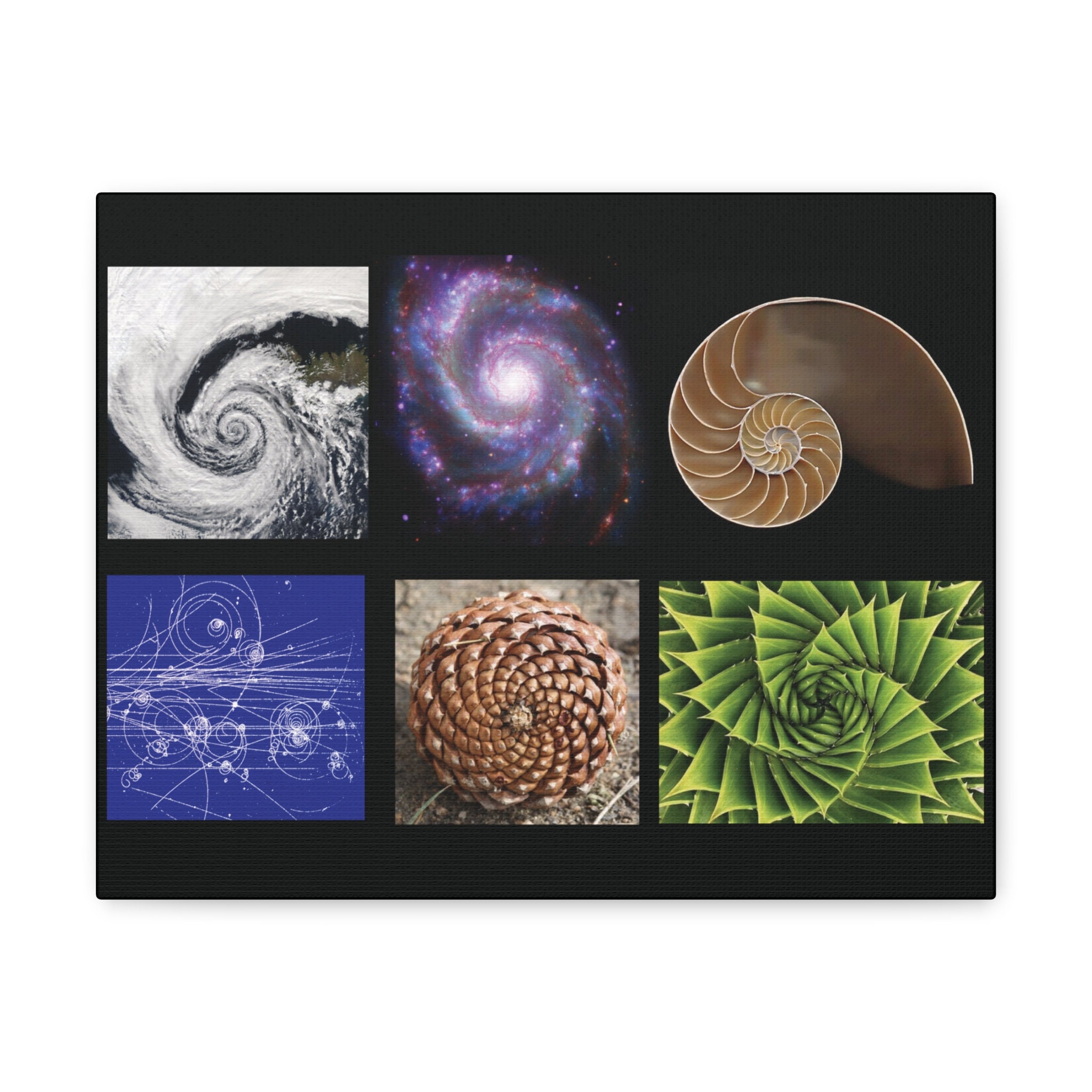 Fibonacci Sequence Sacred Geometry Flower of Life Golden Ratio ...