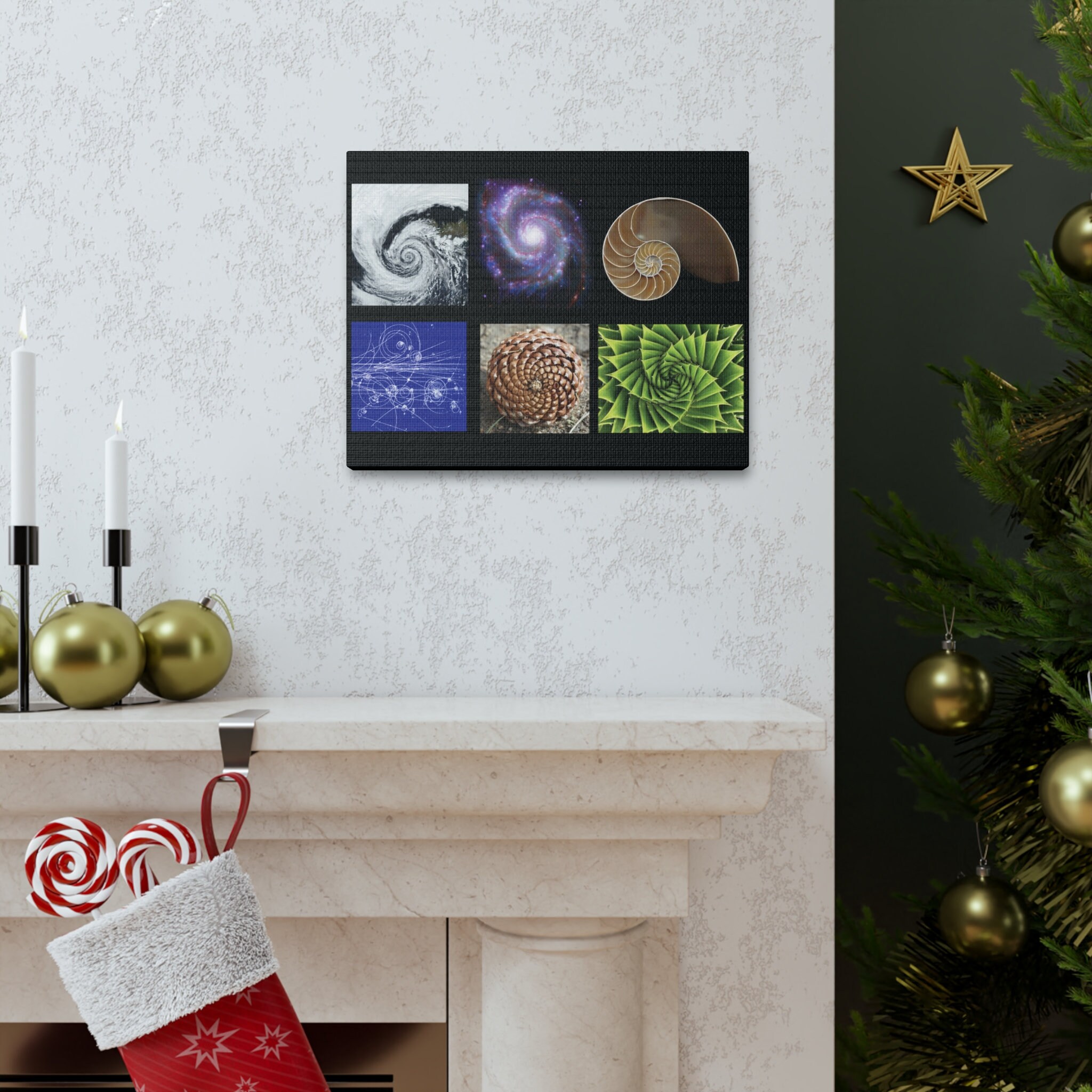 Fibonacci Sequence Sacred Geometry Flower of Life Golden Ratio ...