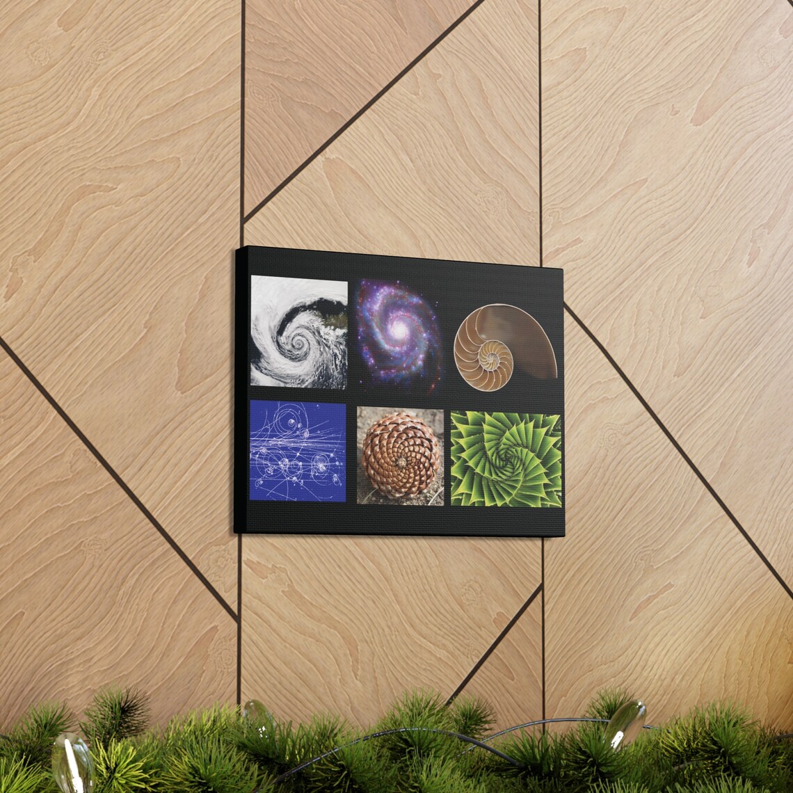 Fibonacci Sequence Sacred Geometry Flower of Life Golden Ratio ...