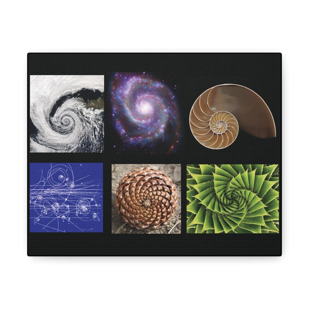Fibonacci Sequence Golden Ratio Geometrical Wall Art Dorm Room Home ...