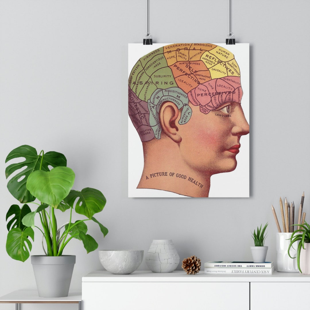 Vintage Psychology Anatomy Poster - Etsy