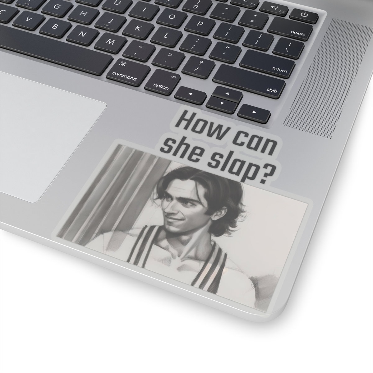 How Can She Slap? Ravi Bhatia Funny Indian Dating Show Meme Laptop ...