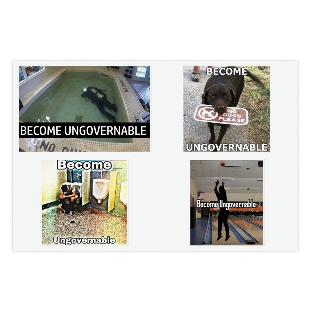 Become Ungovernable Funny Sticker Care Package - Etsy