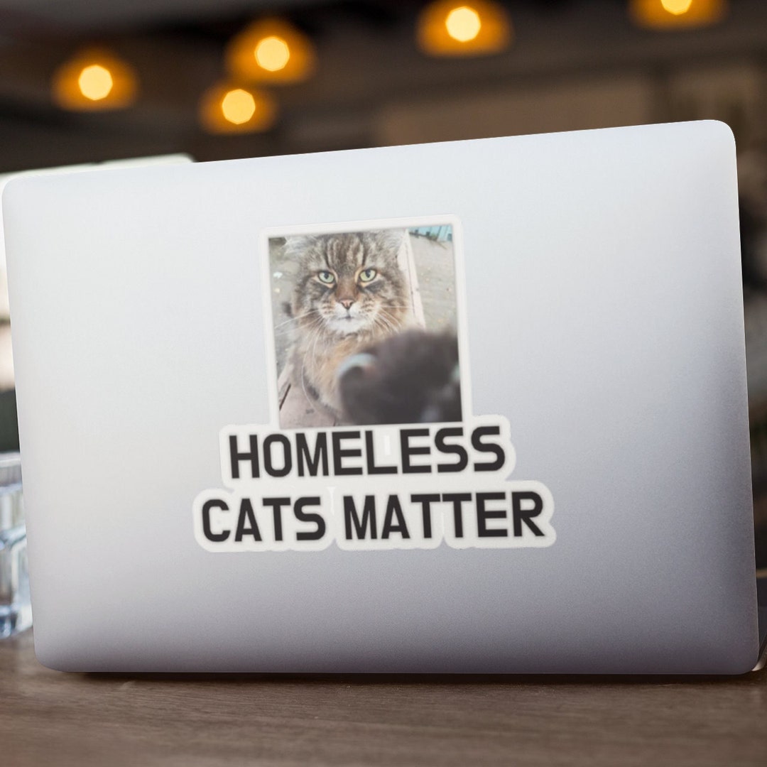 Funny Homeless Cats Matter TFATK Awareness Laptop Sticker, Brendan ...