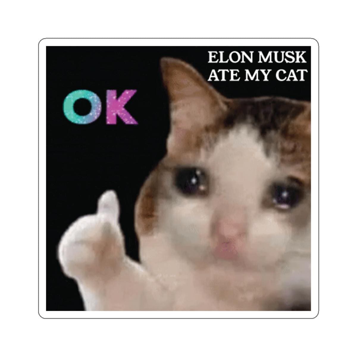 Elon Musk Ate My Cat Crying Cat Meme Waterbottle MacBook Guitar Case ...