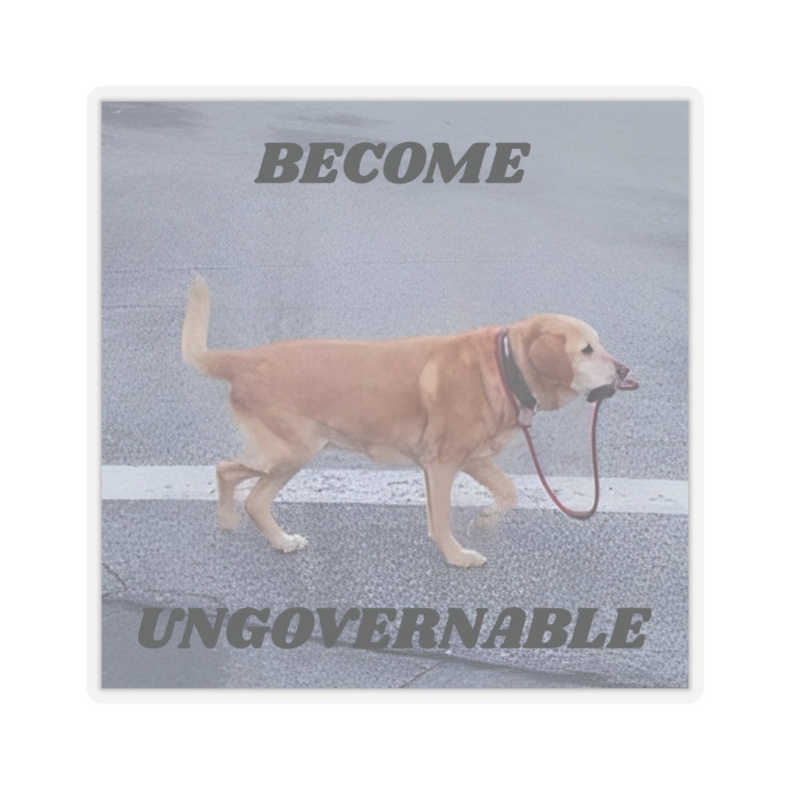 Become Ungovernable Meme Laptop Waterbottle MacBook Pro Guitar Case ...