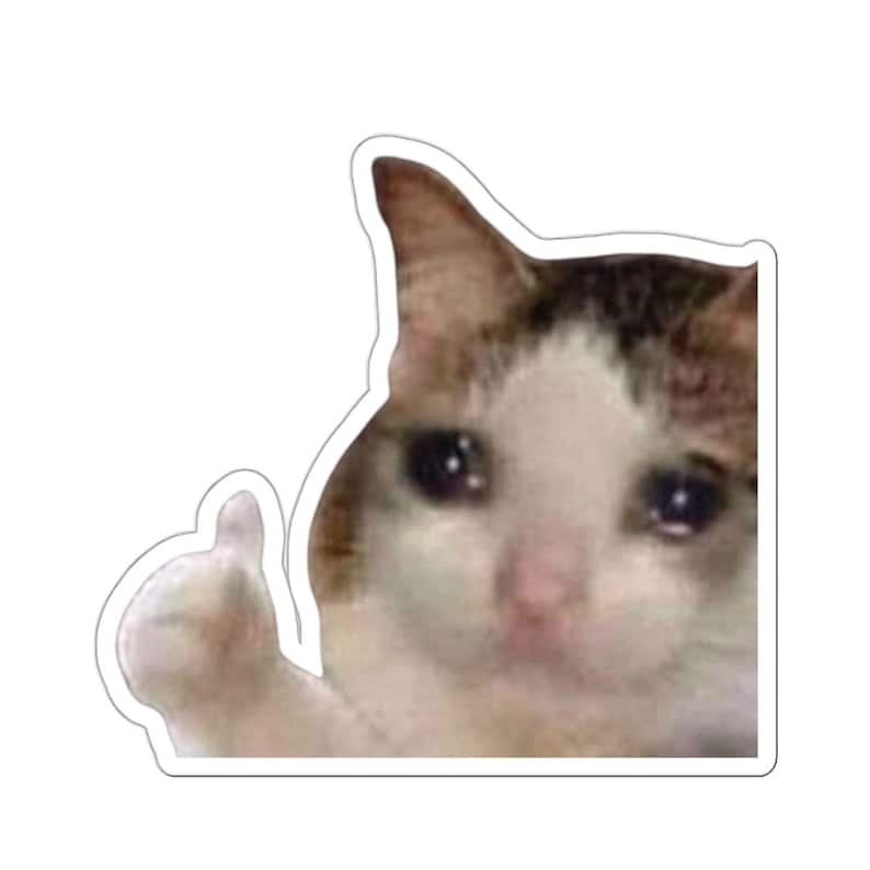 Crying Cat Thumbs up Meme Laptop Waterbottle MacBook Pro - Etsy
