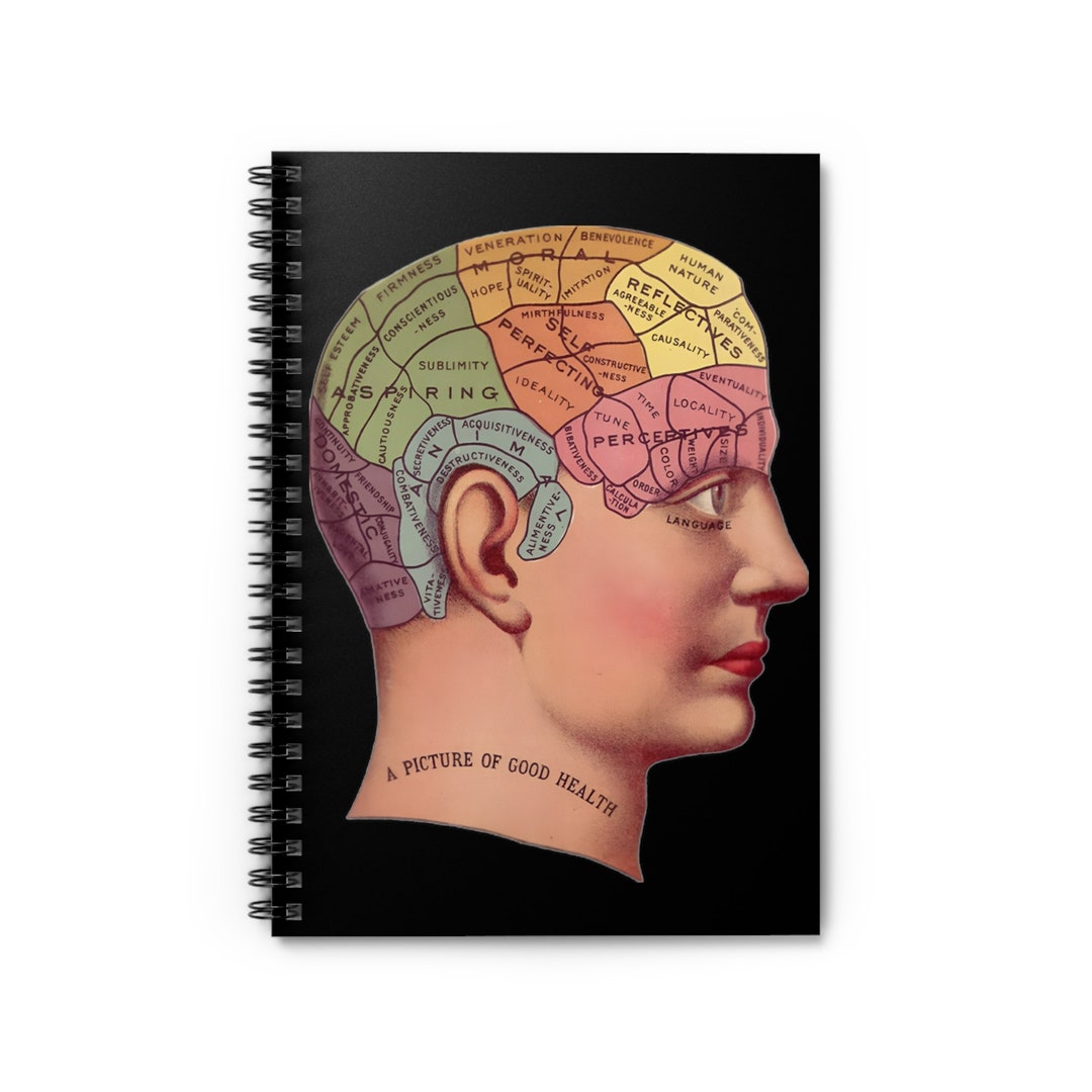 Vintage Aesthetic Mind Brain Anatomy Psychology Picture of Good Health ...