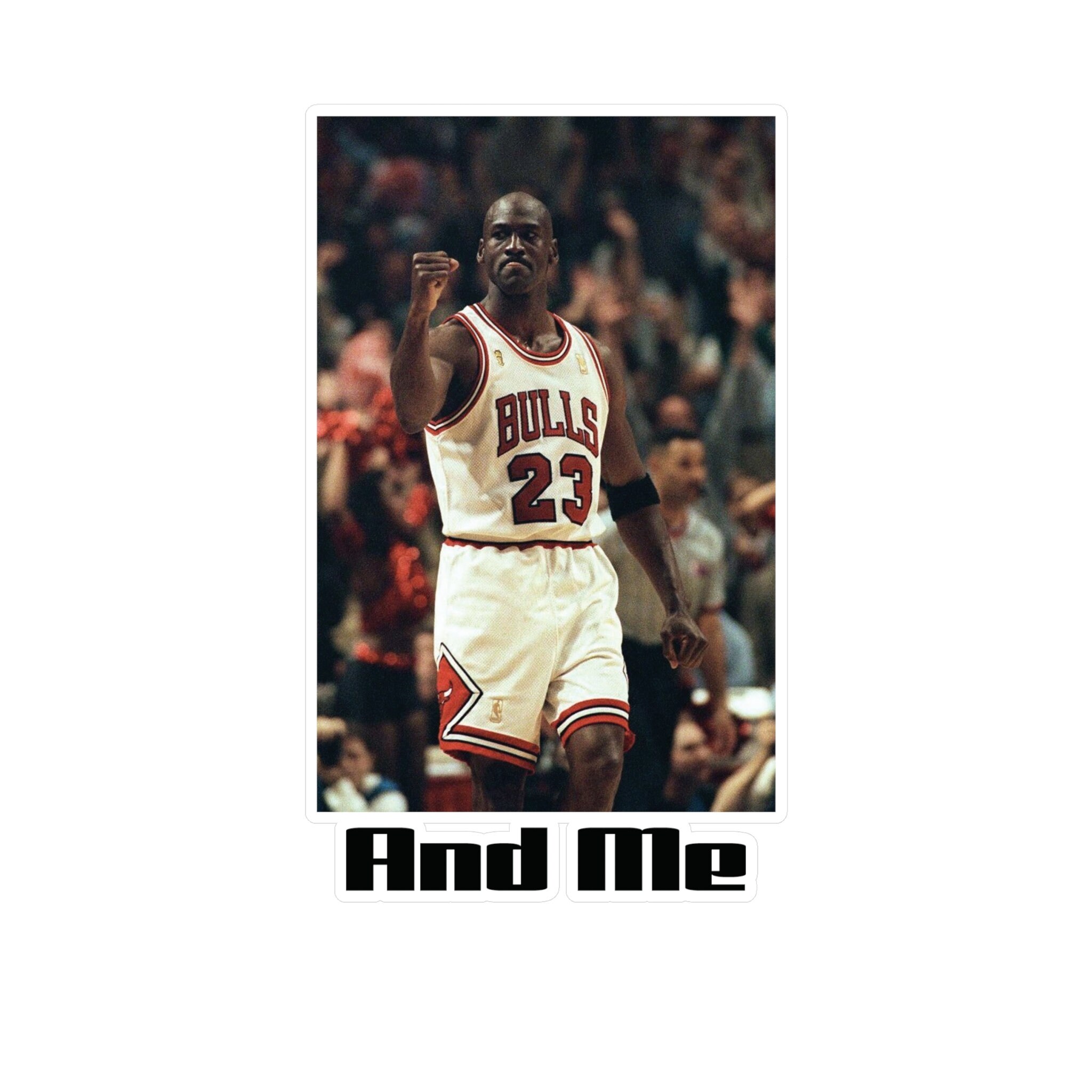 Michael Jordan 23 and Me Meme Sticker Vinyl Laptop Waterproof Car ...