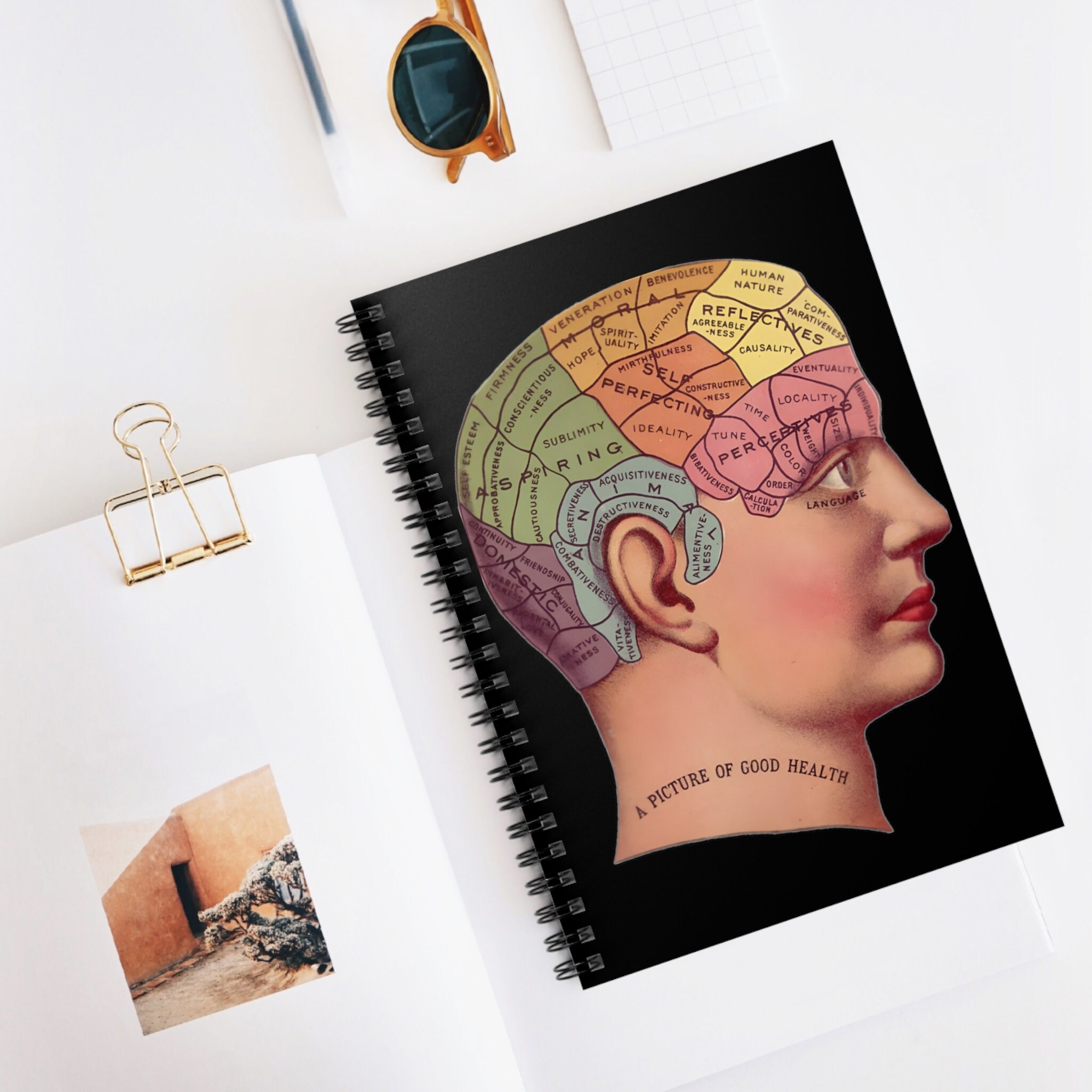 Vintage Aesthetic Mind Brain Anatomy Psychology Picture of Good Health ...