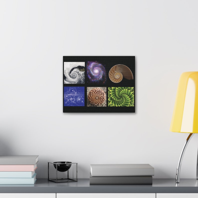 Fibonacci Sequence Sacred Geometry Flower of Life Golden Ratio ...