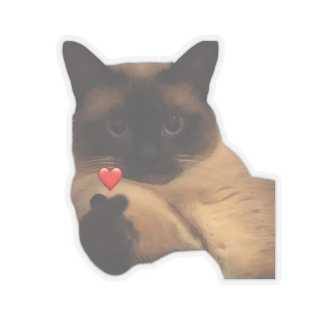 Cat Kitty Heart Meow Feline Lover Meme Waterbottle MacBook Pro Guitar ...