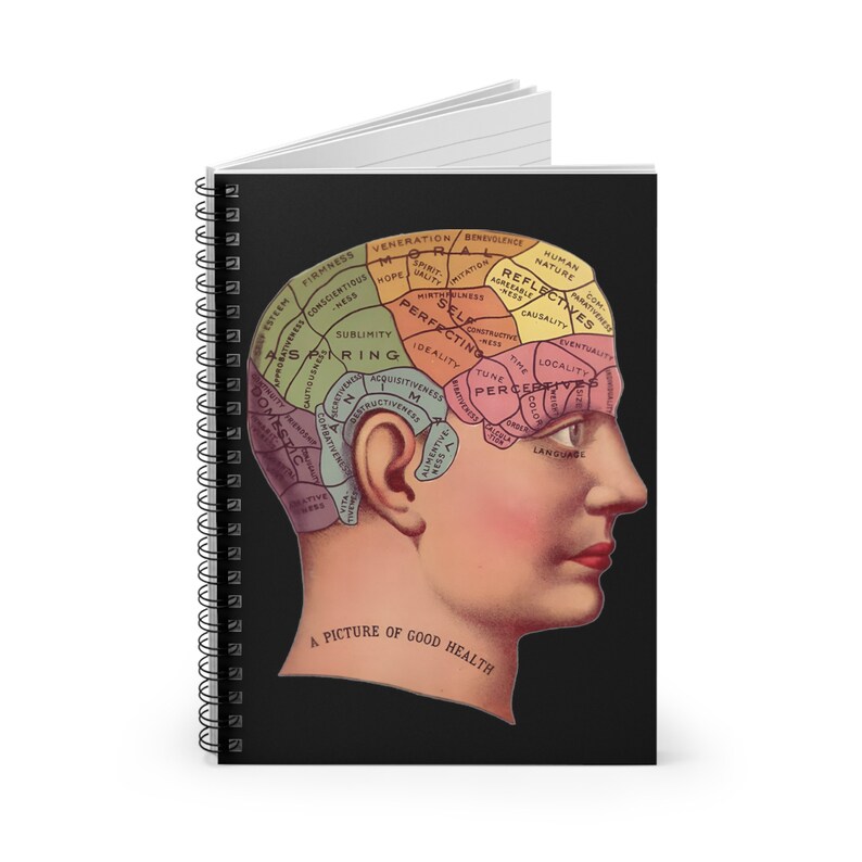 Vintage Aesthetic Mind Brain Anatomy Psychology Picture of Good Health ...