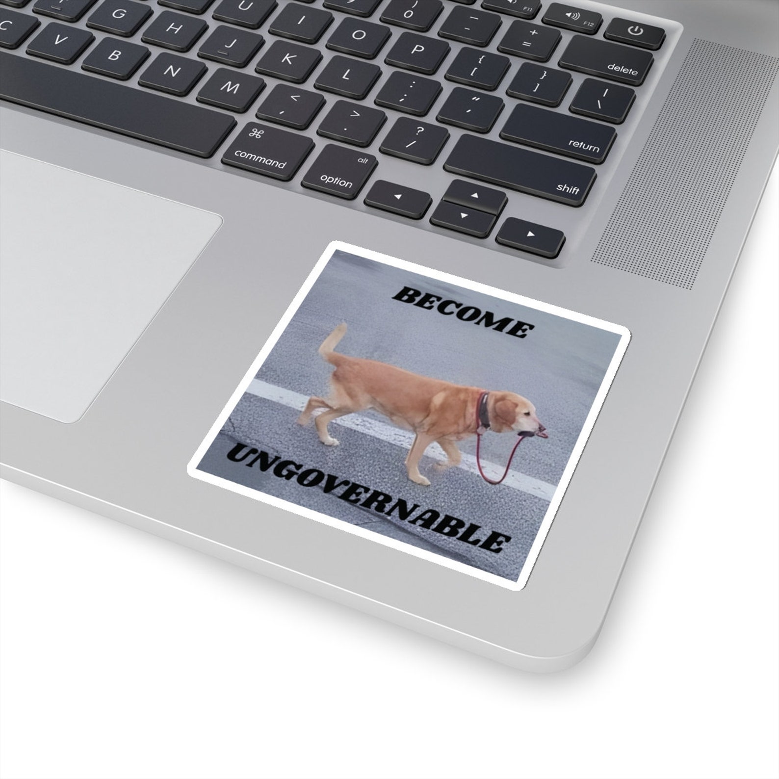 Become Ungovernable Meme Laptop Waterbottle MacBook Pro Guitar Case ...