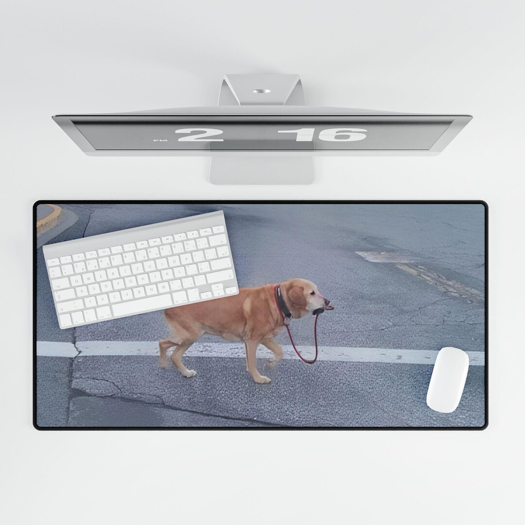 Take the Dog for A Walk Self Walking Dog Doggo Become Ungovernable Self ...