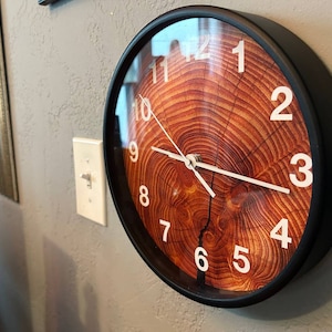 Aesthetic Natural Tree Ring Woodgrain Boho Chic 10" Wall Art Hanging ...