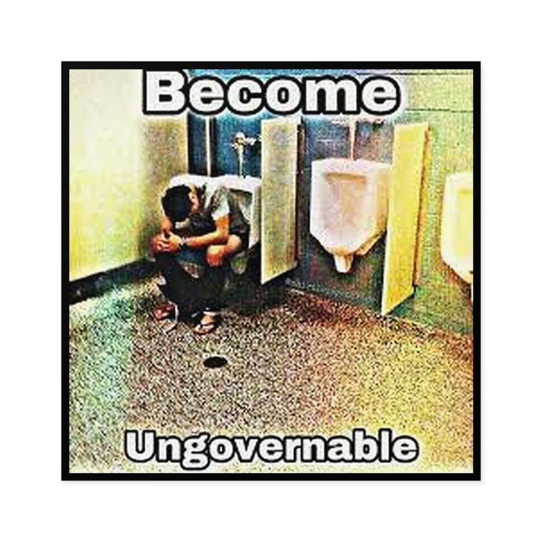 Hilarious Become Ungovernable Freedom Liberty Resist Tyranny Free ...