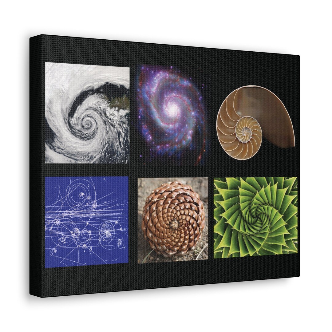 Fibonacci Sequence Sacred Geometry Flower of Life Golden Ratio Geometrical Wall Art Hangning ...