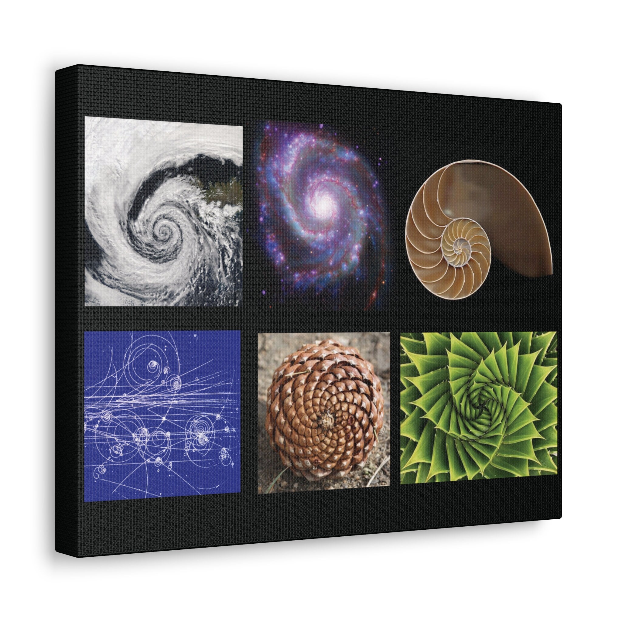 Fibonacci Sequence Sacred Geometry Flower of Life Golden Ratio ...