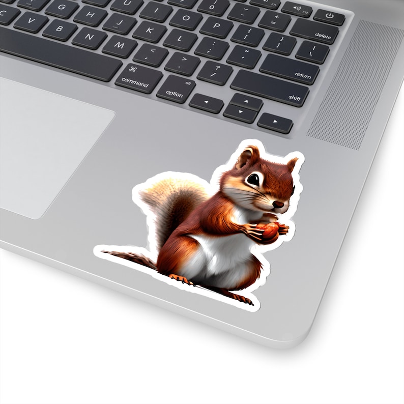 Squirrel Sticker, Squirrel Kiss-cut Stickers - Etsy