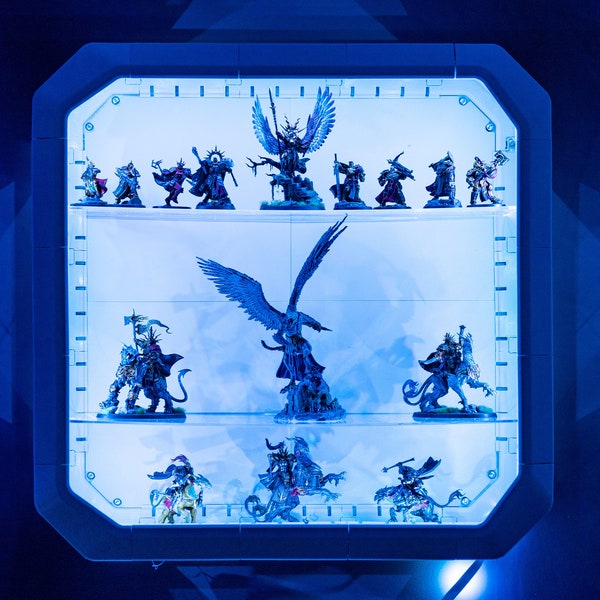 Omni Display Case - Etsy