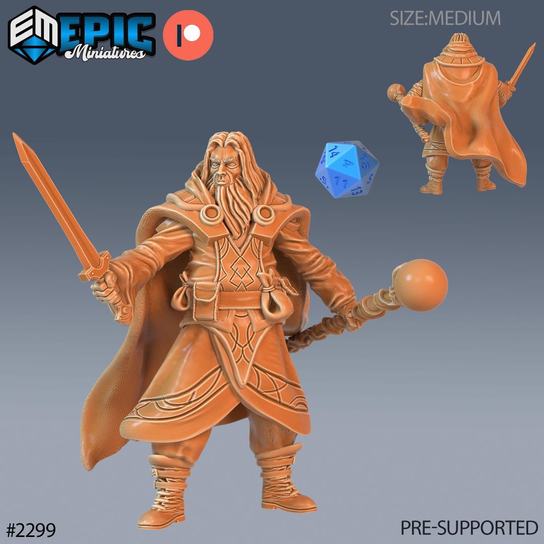 Male Human Wizard With Sword / Bladesinger Miniature - Etsy