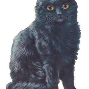 Custom Personalized Fabric Cotton Applique Antique Victorian Black ...