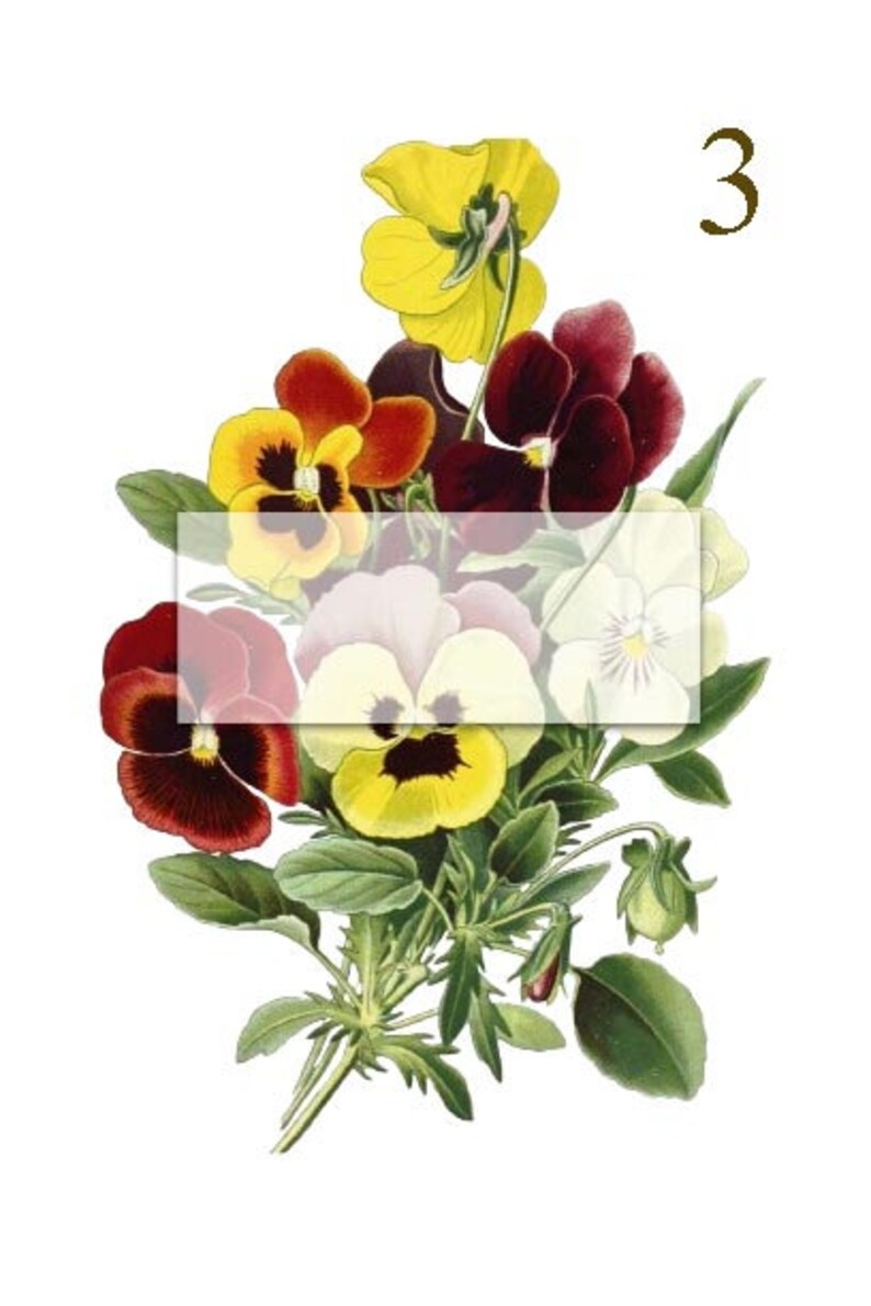 Custom Laser Cut Fabric Panel Cotton Applique Antique Victorian Pansy ...