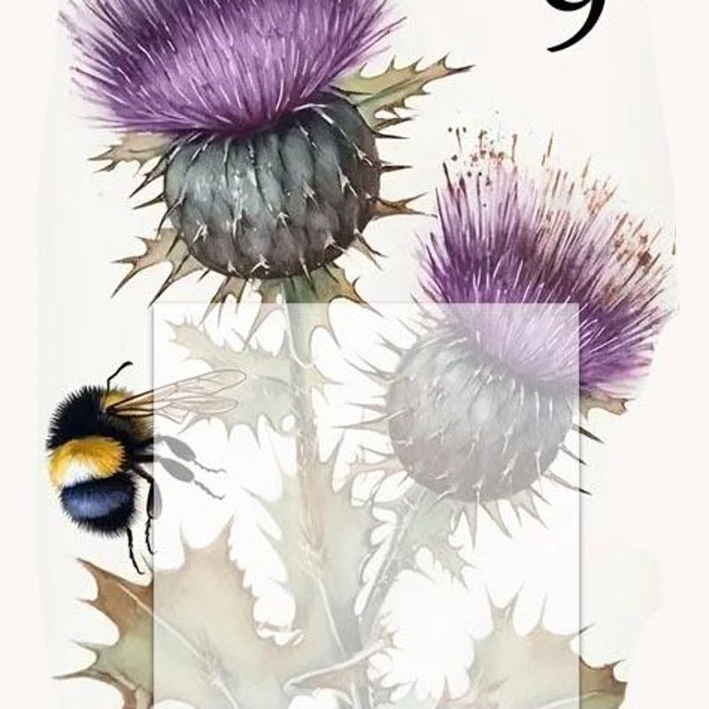 Thistle Fabric - Etsy