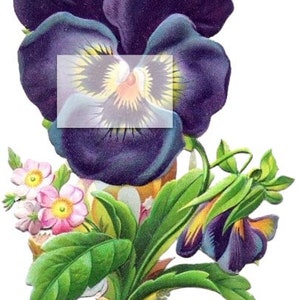 Custom Laser Cut Fabric Panel Cotton Applique Antique Victorian Pansy ...