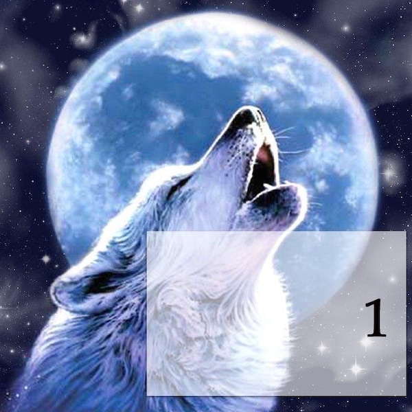 Wolf Fabric Panel - Etsy